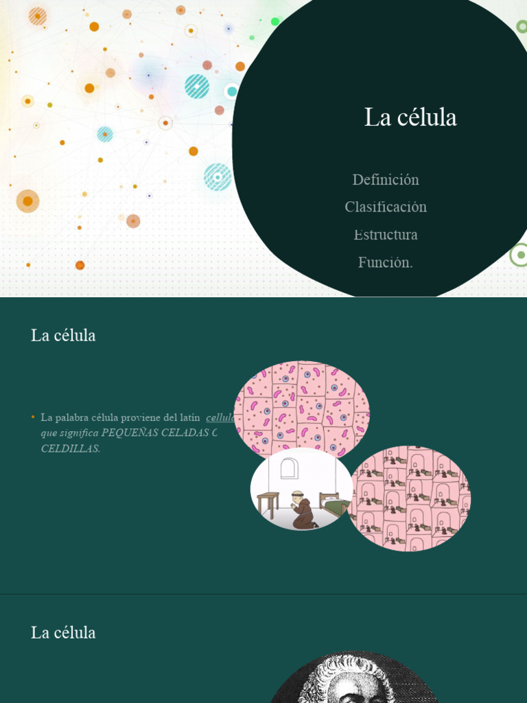 La Célula Ysus Partes | PDF | Biología Celular) | Citoplasma