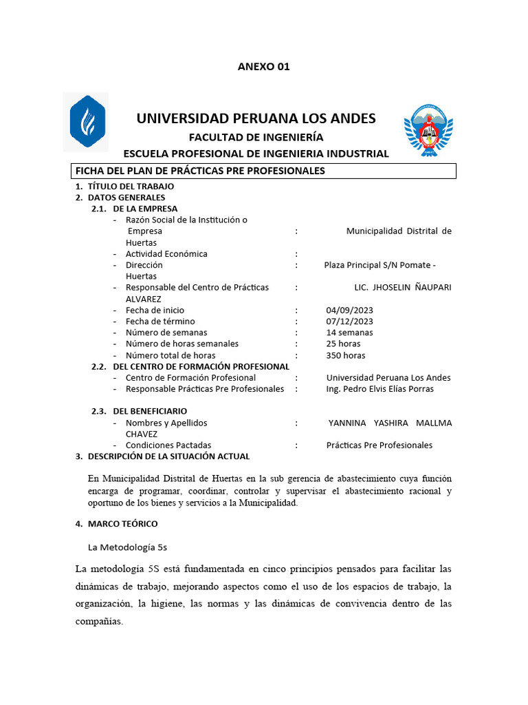 Anexos 01 Al 04 | PDF | Business