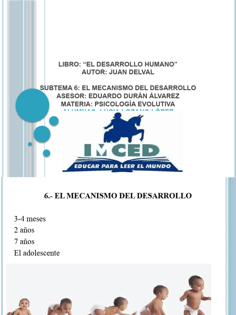 Lucy. El Desarrollo Del Mecanismo, Juan Delval | PDF | Pensamiento ...