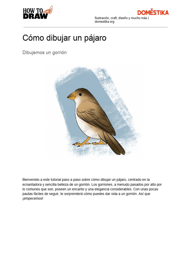 Domestika - Cómo Dibujar Un Pájaro | PDF | Aves | Ornitología