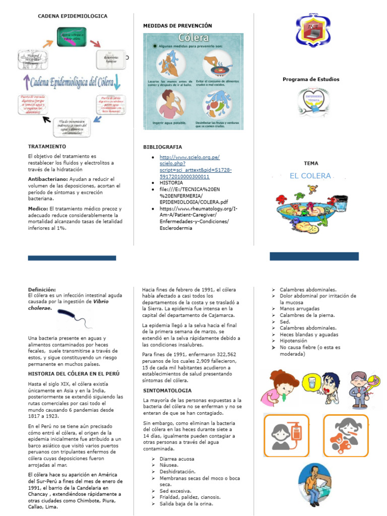 EL COLERA Triptico | PDF | Cólera | Heces