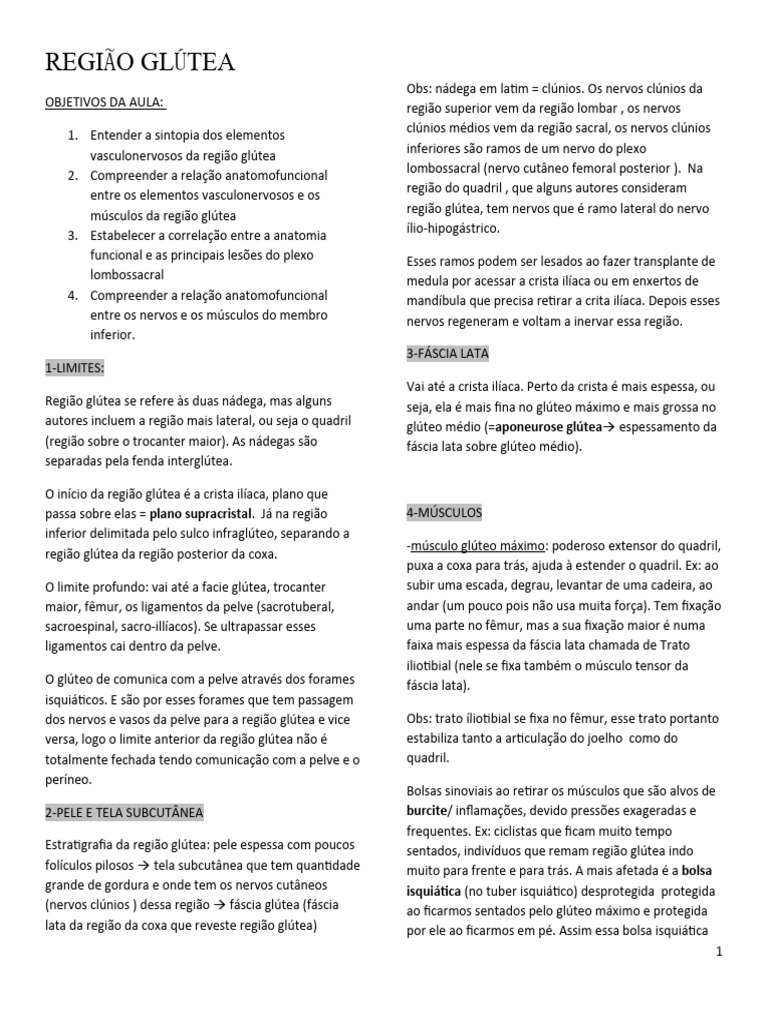 Anatomia da Região Glútea e Nervos | PDF | Pélvis | Nervo