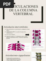 Articulaciones y Ligamentos de La Columna Vertebral | PDF