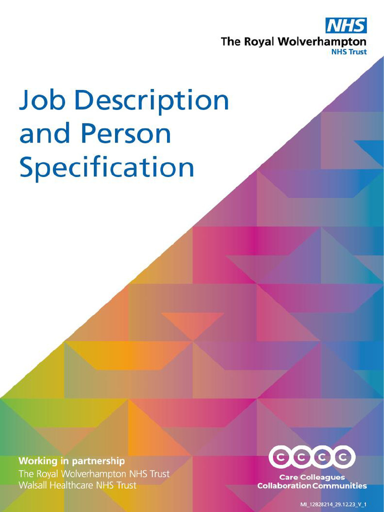 Software Integration Specialist JD&PS | PDF | Databases | Computing