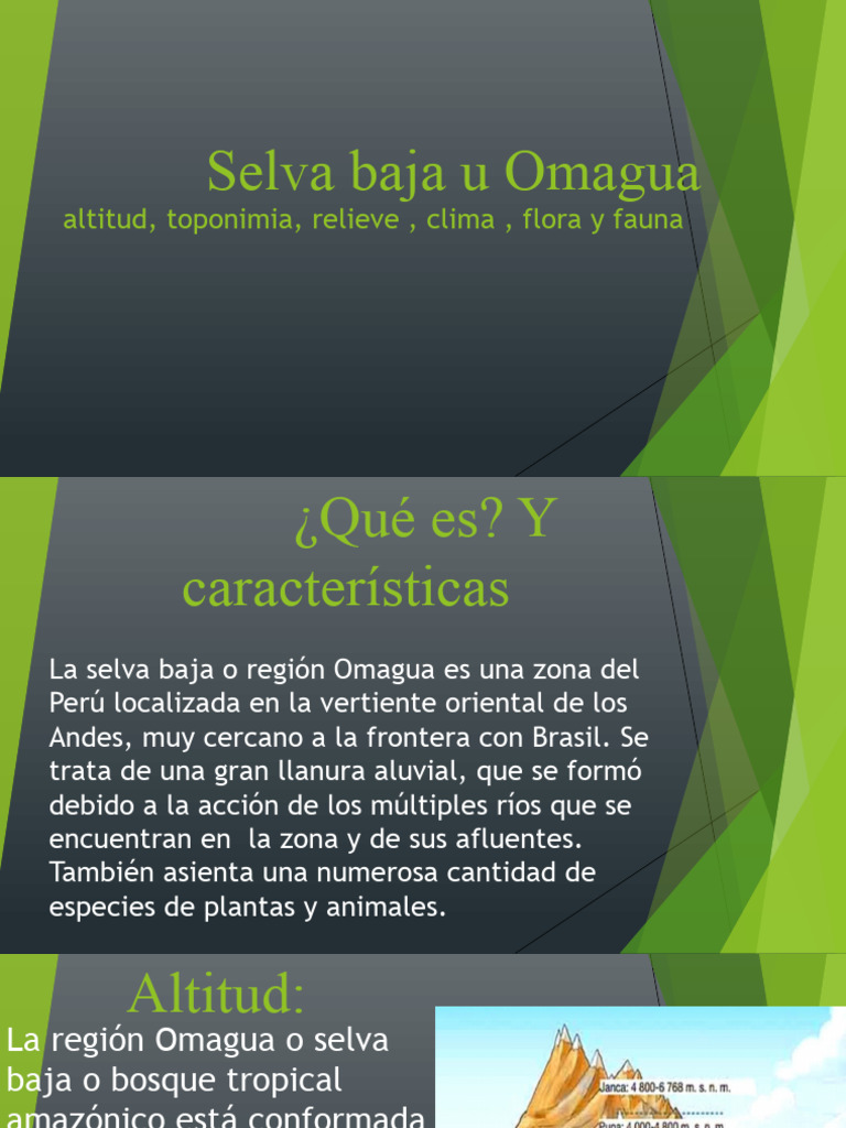 Selva Baja U Omagua | PDF