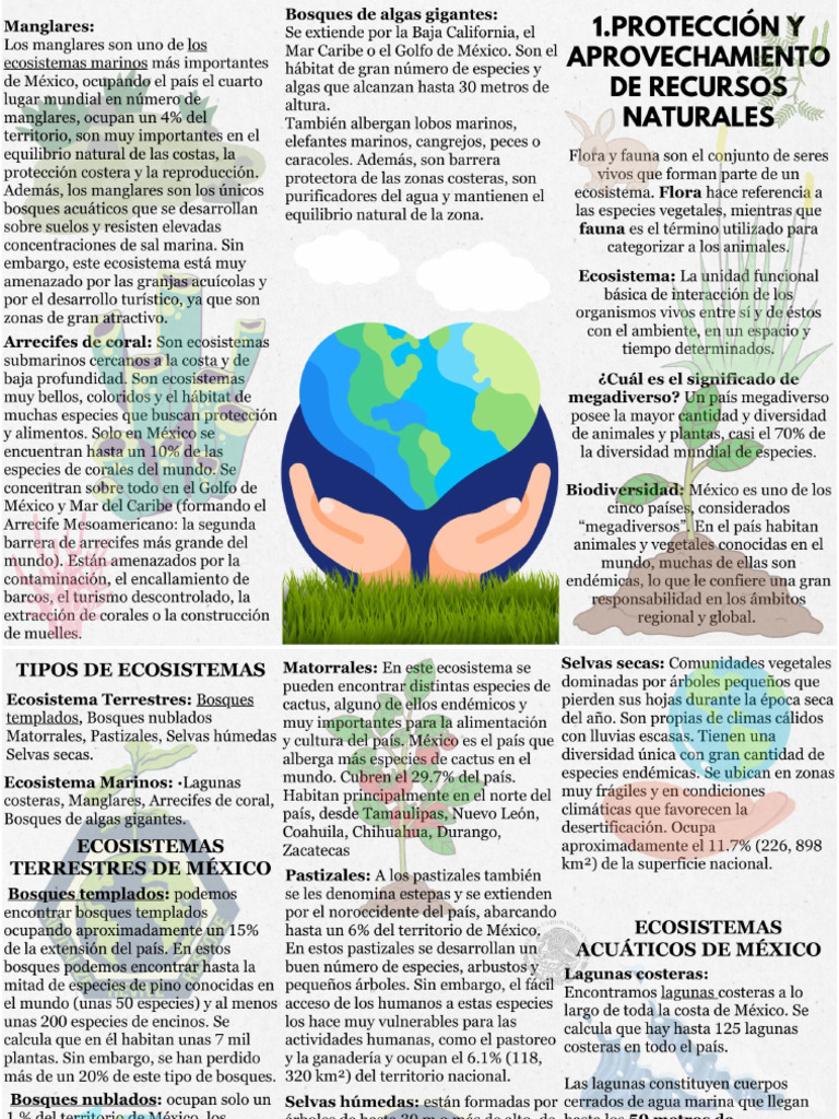 Flora y Fauna Folleto PDF | PDF