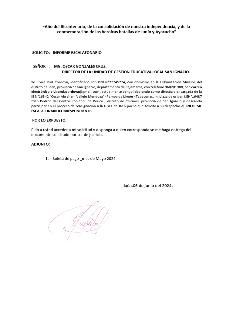 Solicito Informe - Escalafonario | PDF