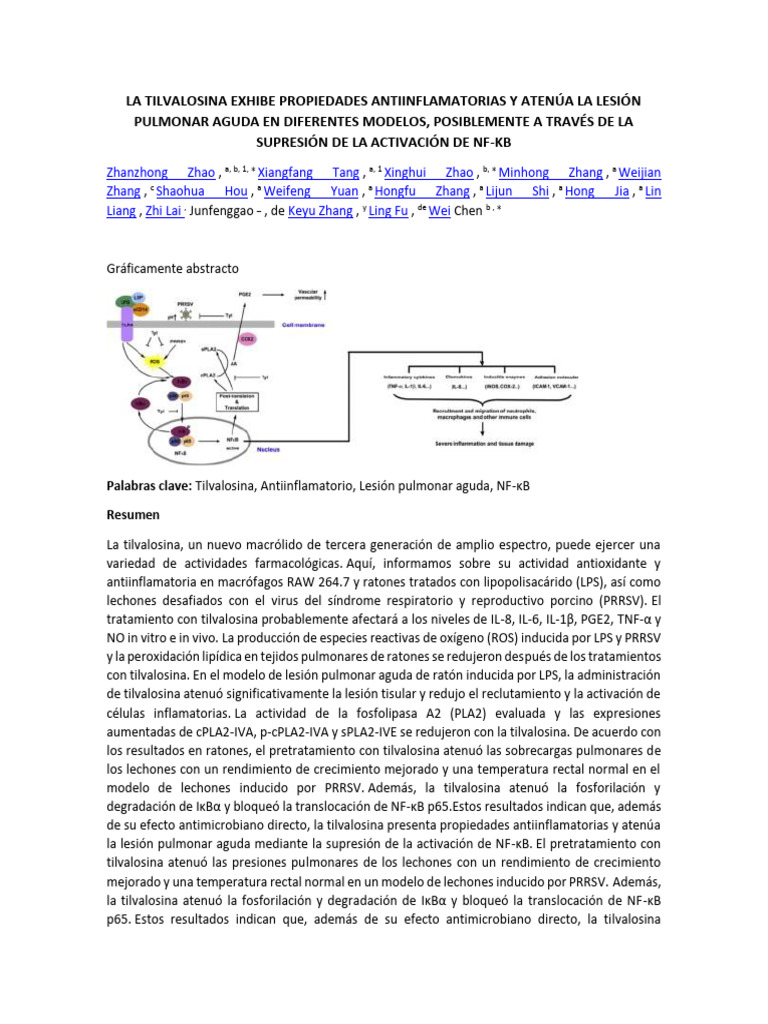 La Tilvalosina Exhibe Propiedades Antiinflamatorias y Atenúa La Lesión ...
