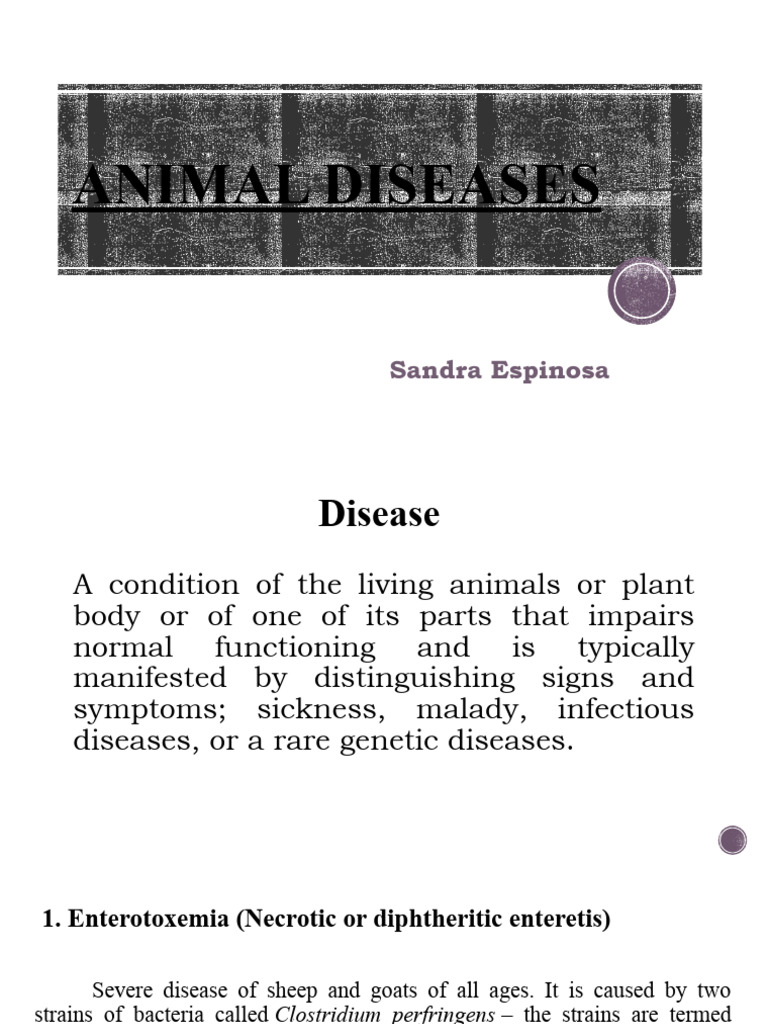 Overview of Common Animal Diseases | PDF | Infection | Diseases And ...