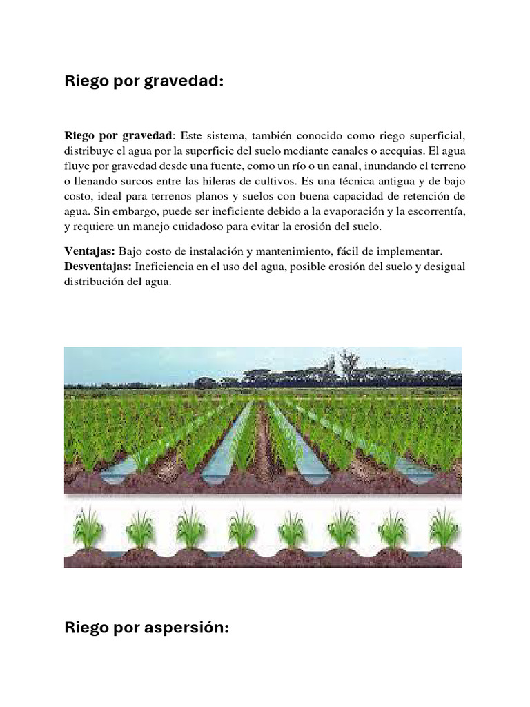 Cinco Tipos de Riego | PDF | Riego | Agua
