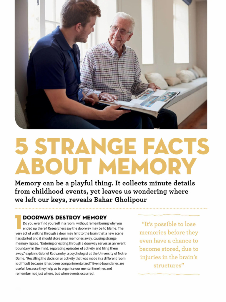 5 Strange Facts About Memory | PDF