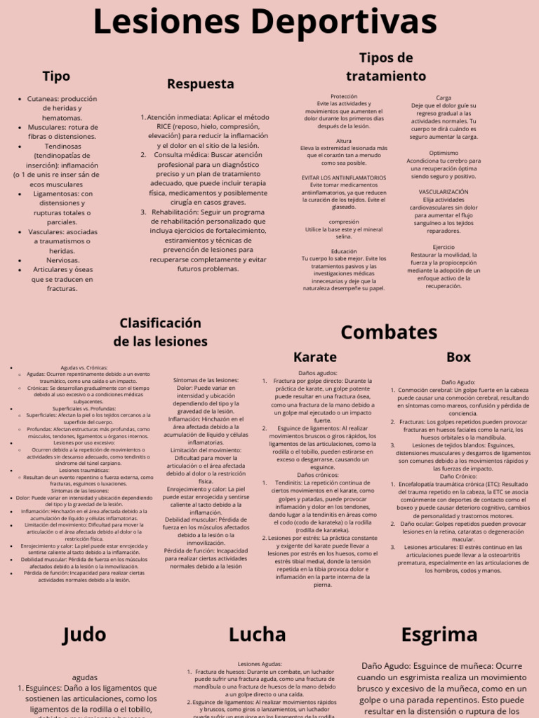 Combate Ev2 | PDF | Rodilla | Tobillo