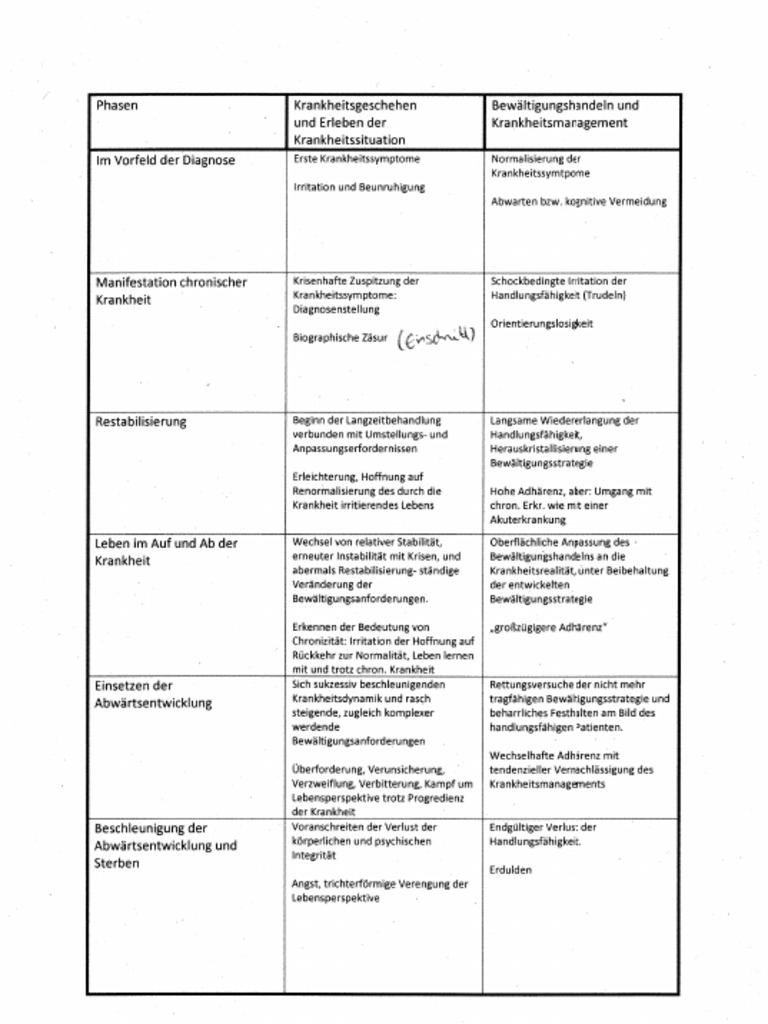 Phase. Traject-Modell | PDF