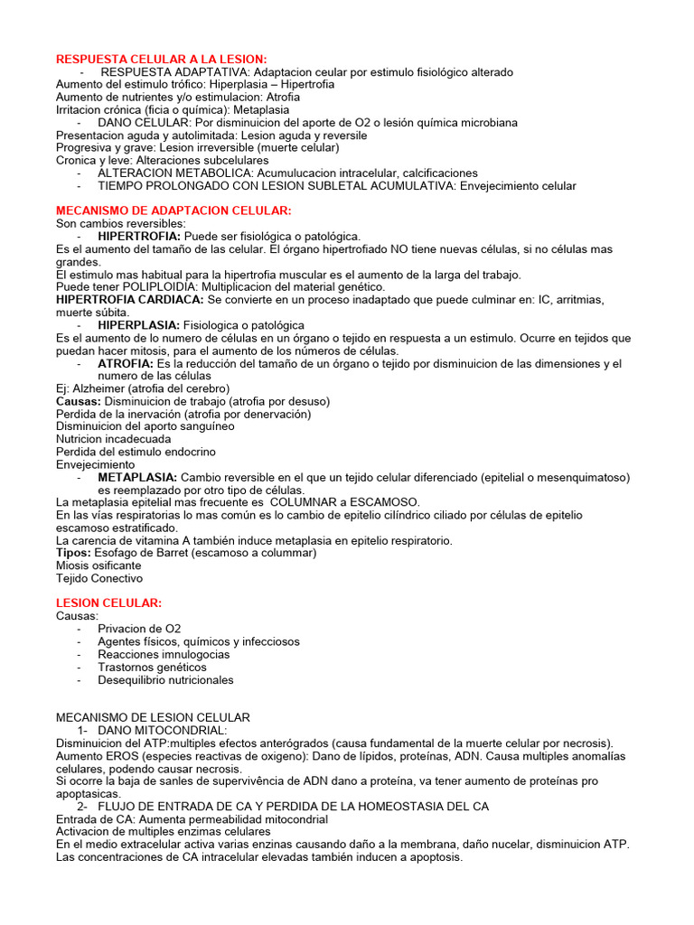 Resumo Final Pato Pdf Hemostasia Apoptosis