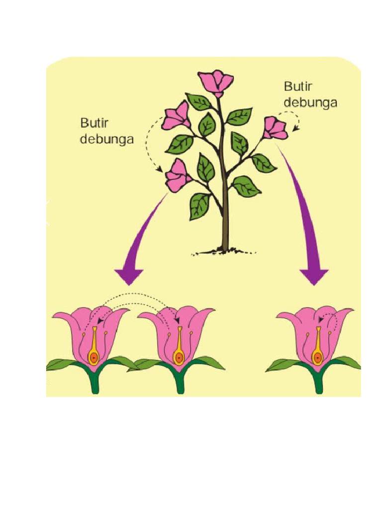 Gambar Abm Pdf