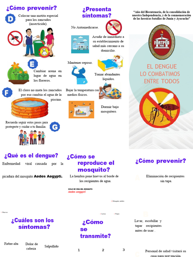 Prevención del Dengue: Guía Esencial | PDF | Mosquito | Enfermedades ...