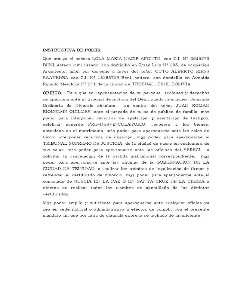 Instructiva de Poder de Divorcio | PDF