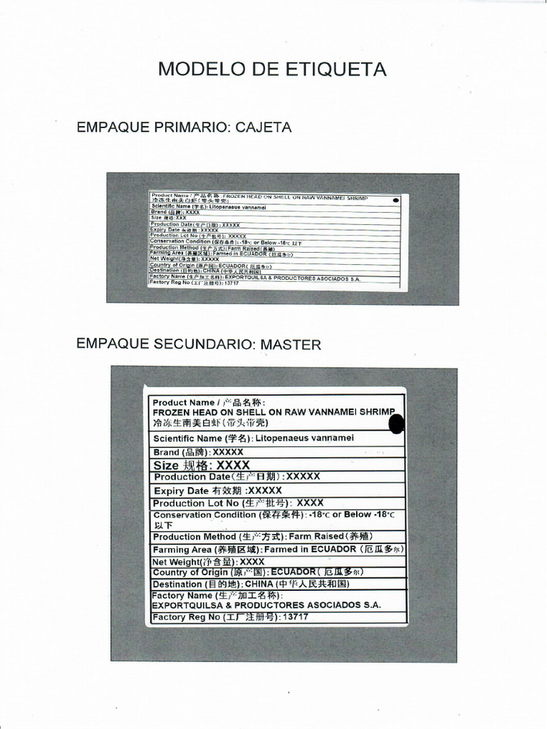 Formato de Modelo de Etiqueta | PDF