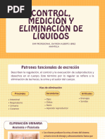 GUÍA de PROCEDIMIENTOS Control de La Diuresis | PDF | Vejiga urinaria ...