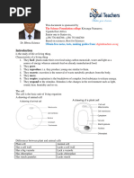 IGCSE 0610 - EYES Sense Organs NOTES (2023-2025) | PDF | Eye | Retina