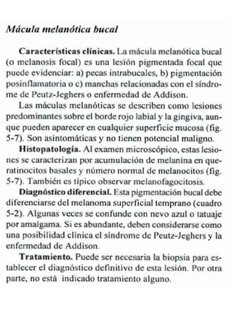 Captura de Pantalla 2024-06-19 200836 | PDF
