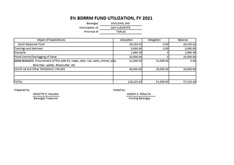 5% BDRRM Fund Utilization, Fy 2021 | PDF