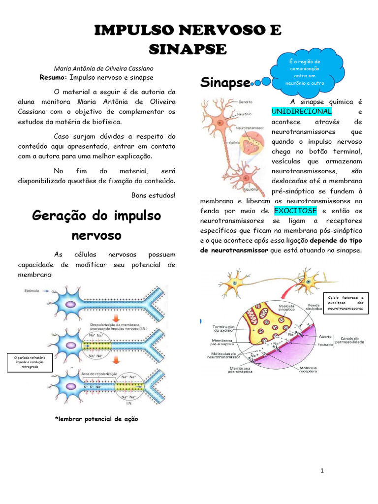 3-IMPULSO NERVOSO E SINAPSE (Monitoria) | PDF | Sinapse | Neurotransmissor