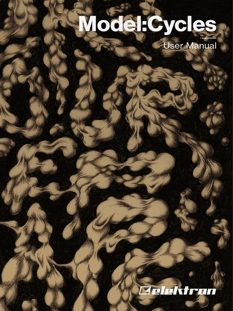 Model Cycles User Manual ENG OS1.13 | PDF | Electronics | Electrical Engineering