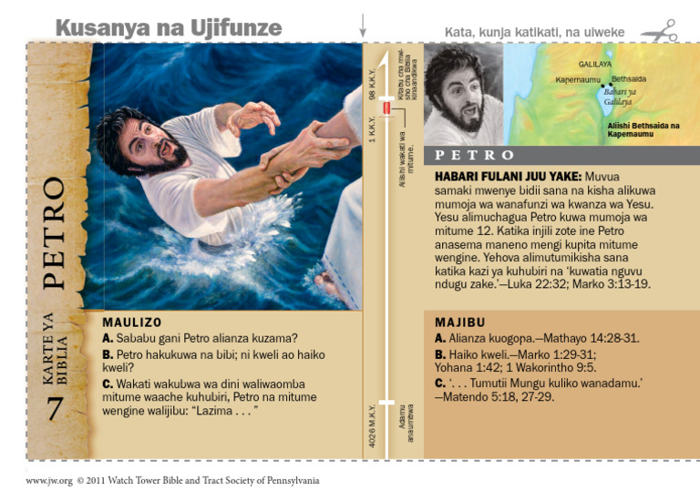 ZS - CNT - 1 2 | PDF