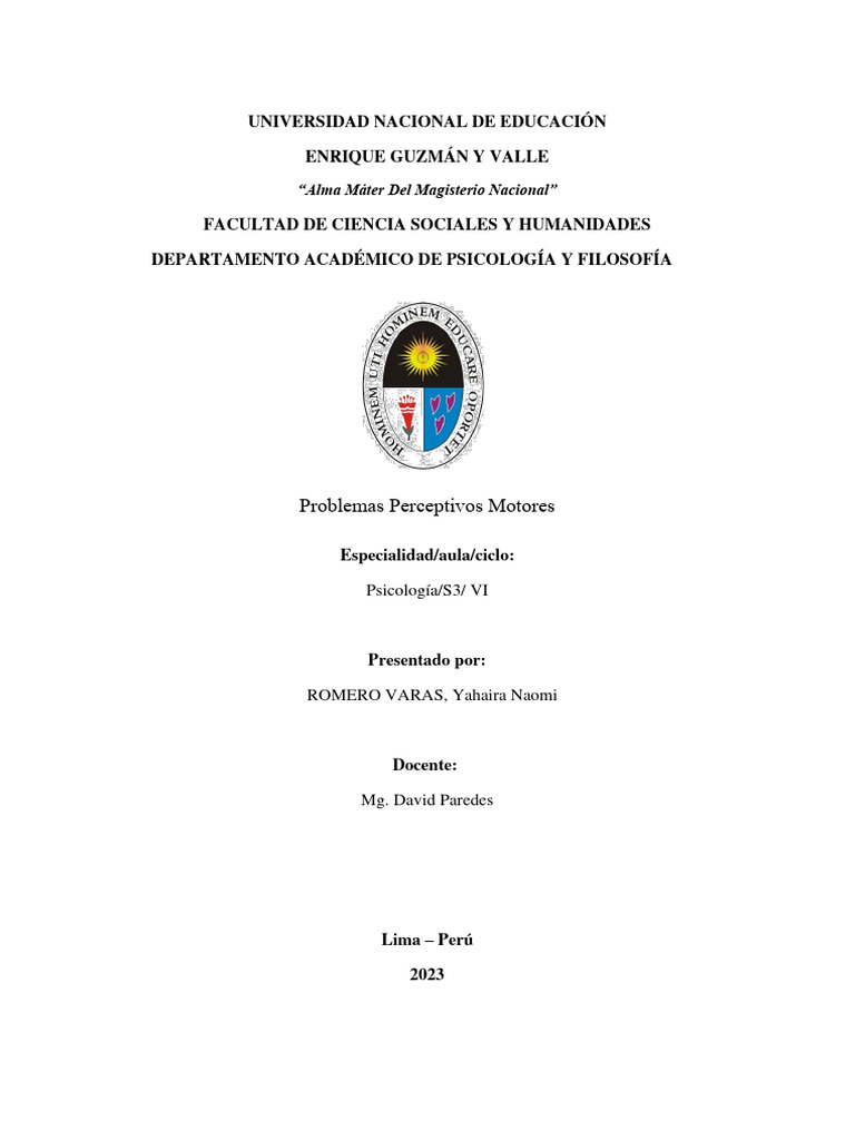 Ensayo Explicativo - Problemas Perceptivo Motores | PDF | Aprendizaje | Percepción