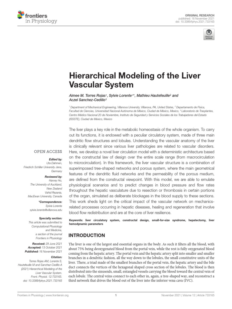 Hierarchical Modeling of The Liver Vascular System | PDF | Liver ...