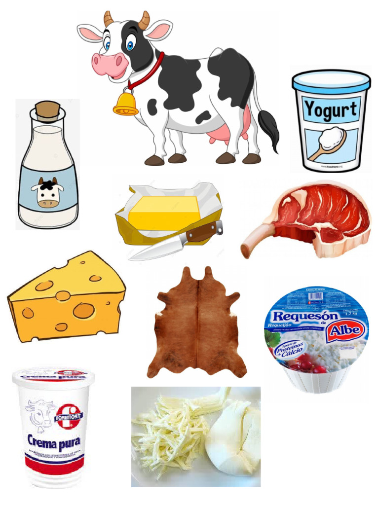 Derivados De La Vaca Pdf