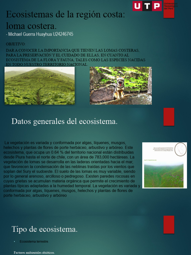 Ecosistemas de La Región Costa | Descargar gratis PDF | Ecosistema | Fauna
