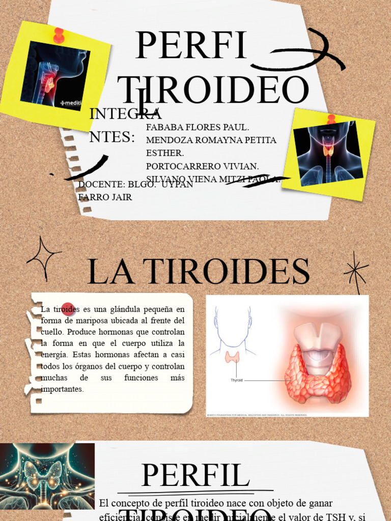 Perfil Tiroideo: Diagnóstico y Funciones | PDF | Hormona estimulante de ...