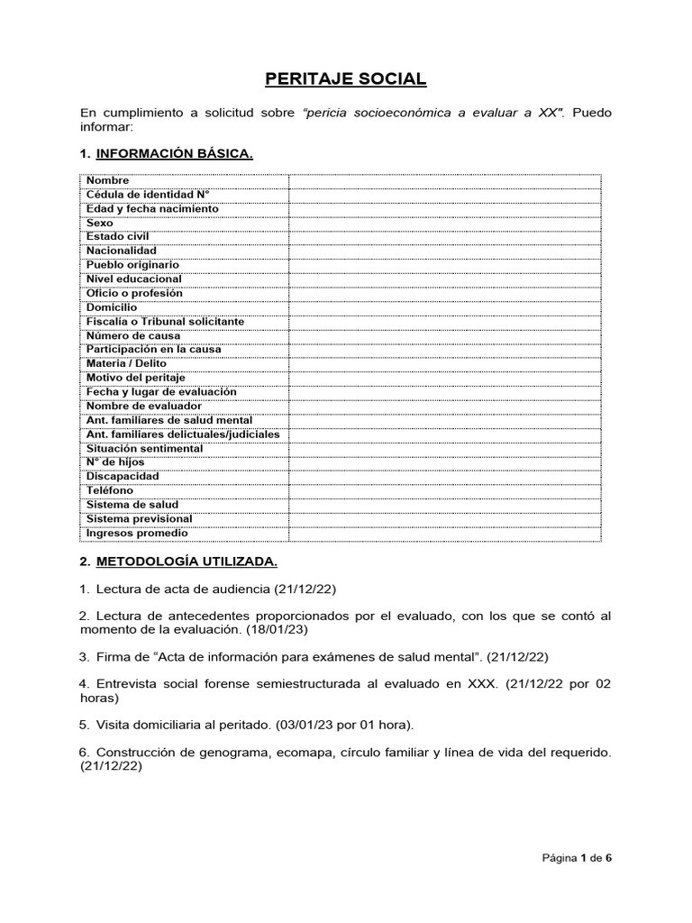 Ejemplo Peritaje Socioeconomico | PDF | Espectro autista | Pensión alimenticia