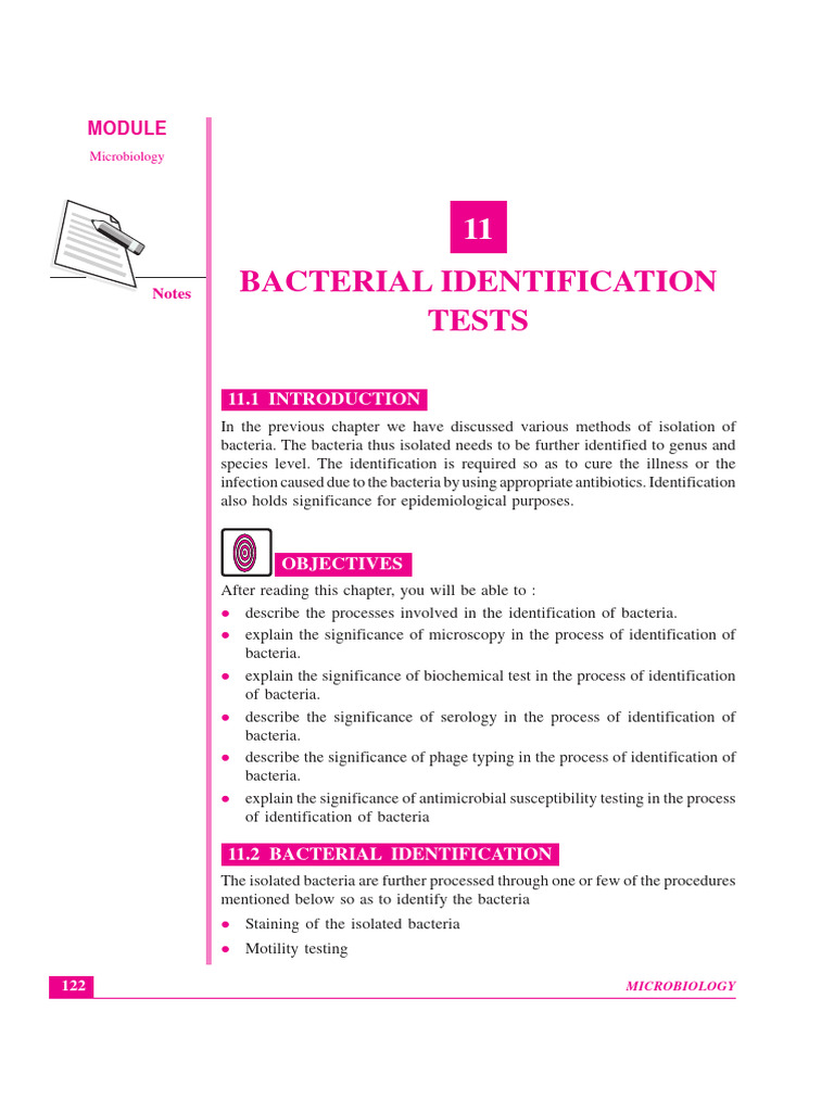 Bacterial Identification Methods in Microbiology | PDF | Bacteria ...
