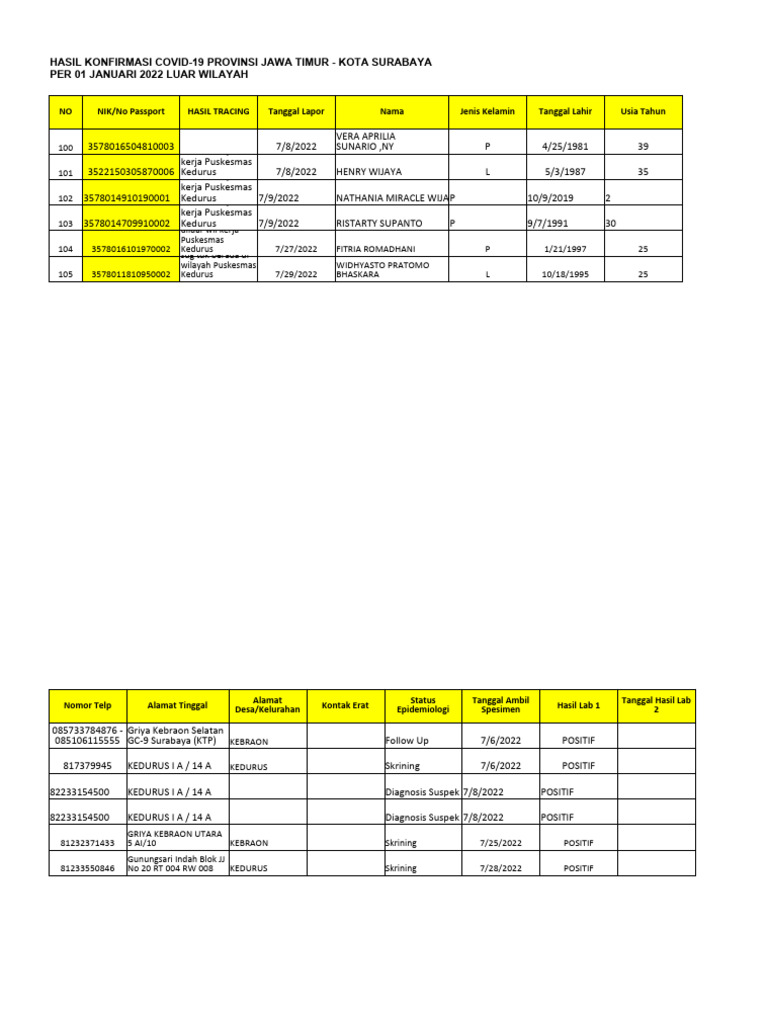 SPJ Data Tracing | PDF