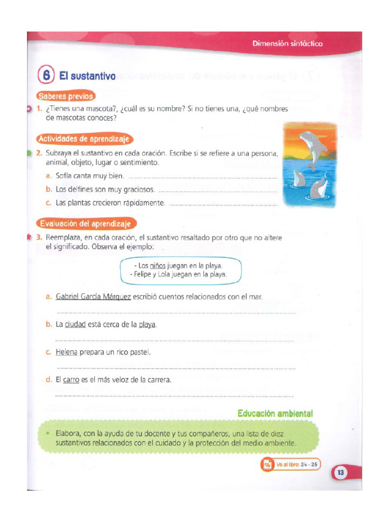 Actividad 1-2 (El Sustantivo, Género y Número) | PDF