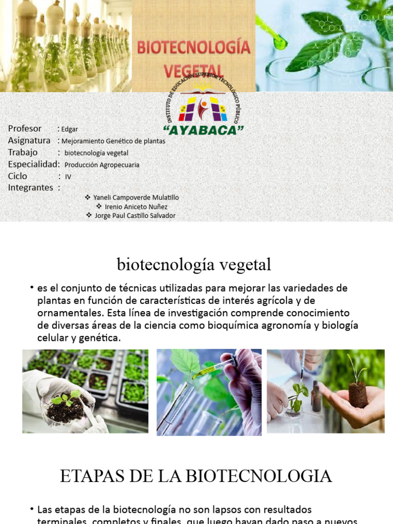 Biotecnologia Vejetal | PDF | Biotecnología | Adn