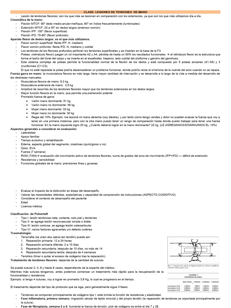 Protocolos | PDF | Mano | Tendón