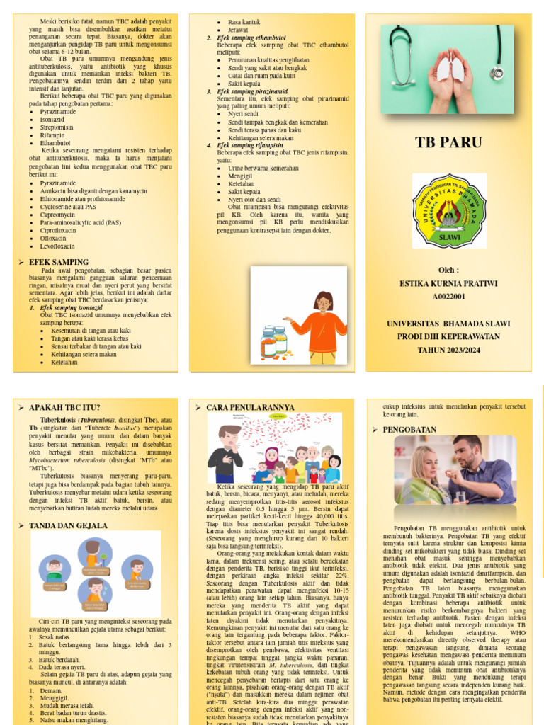 Leaflet TB Paru Estika | PDF