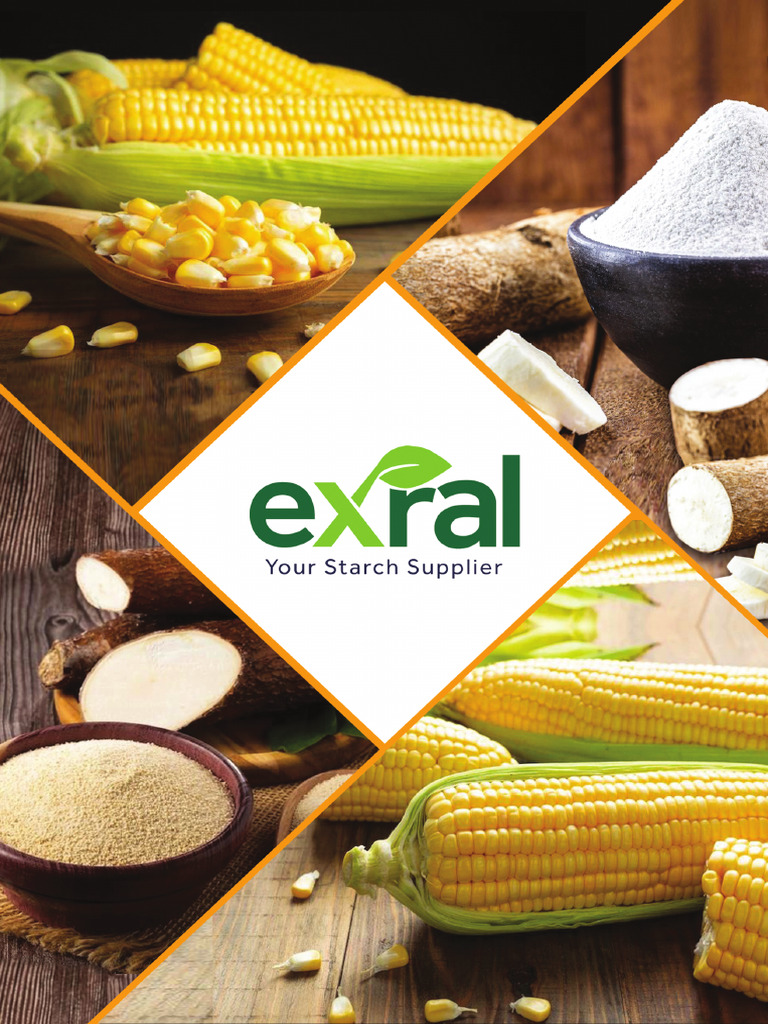Exral Brochure | PDF