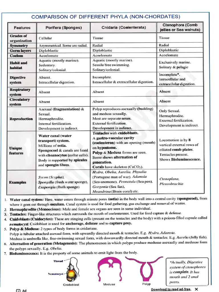 Adobe Scan 02-Jul-2024 | PDF | Sponge | Biology