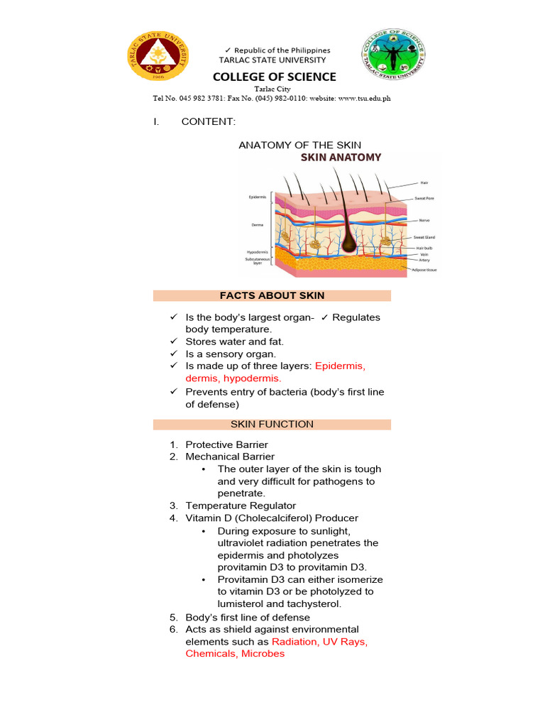 Integ Reviewer | PDF | Dermatitis | Epidermis