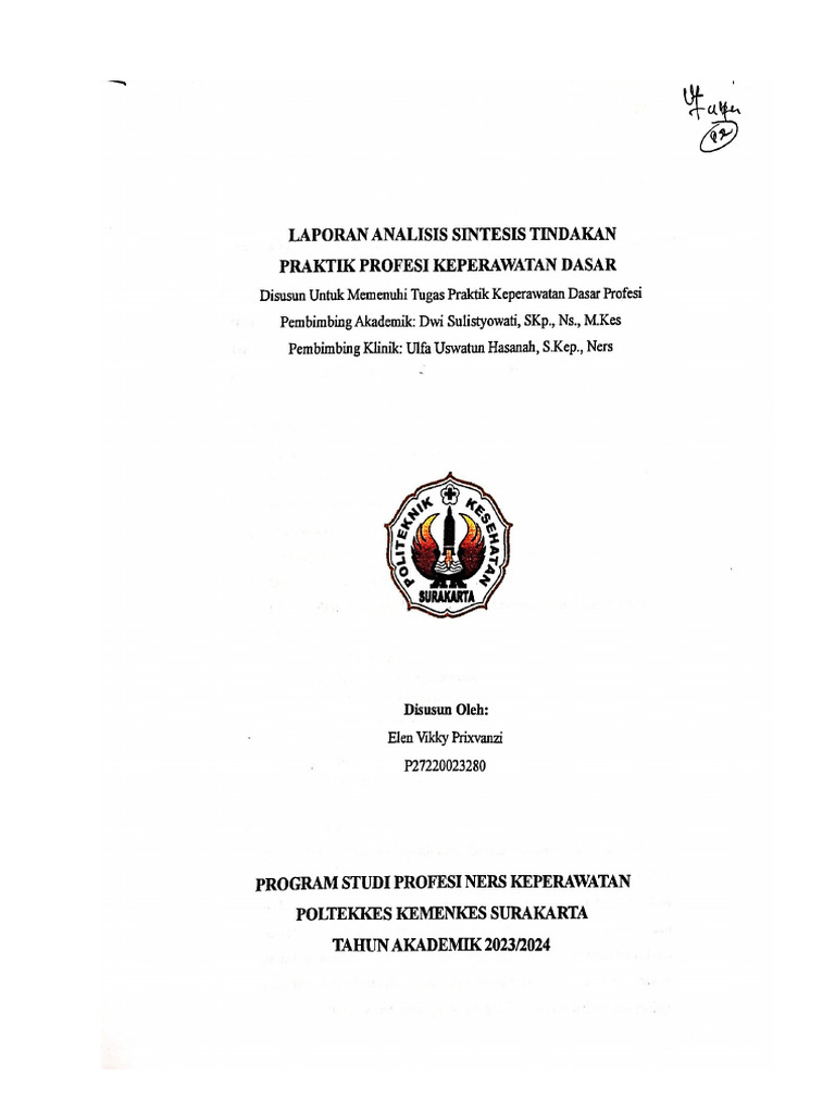 Ansis Nebulizer | PDF