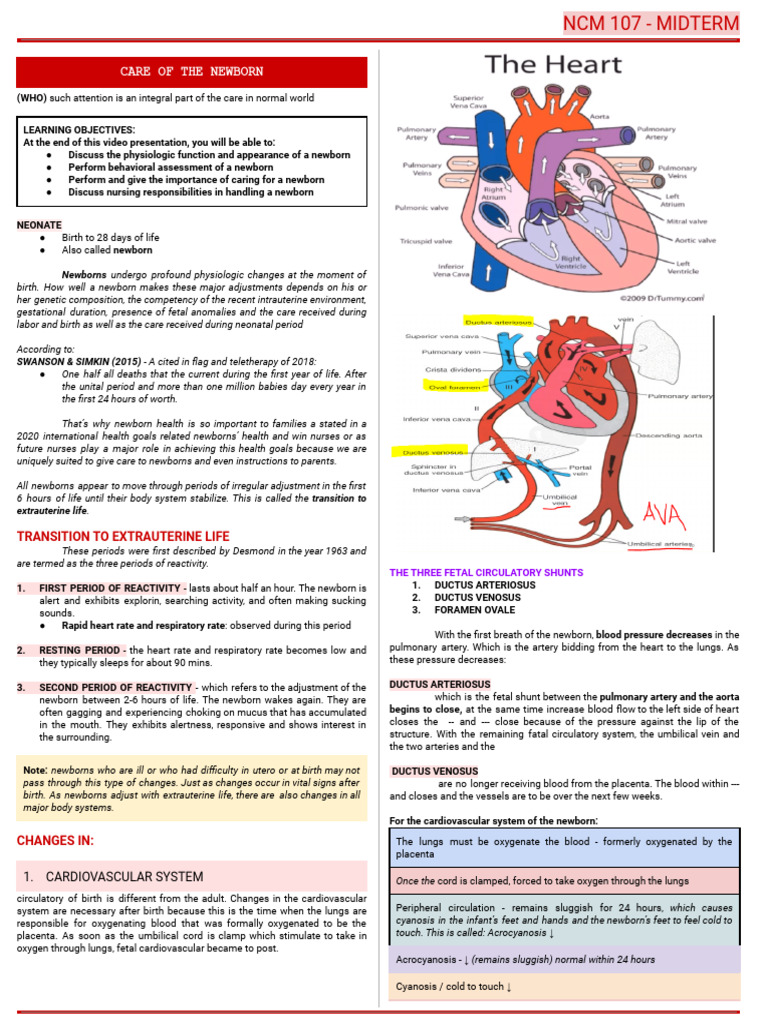 ncm 107 midterm | Download Free PDF | Anatomy ncm 107 midterm | Download Free PDF | Anatomy