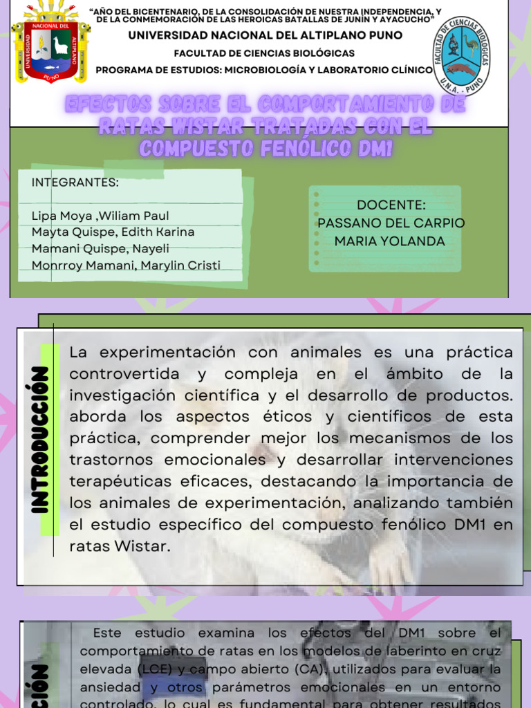 Efecto del DM1 en Ratas Wistar | PDF | Comportamiento | Rata de laboratorio