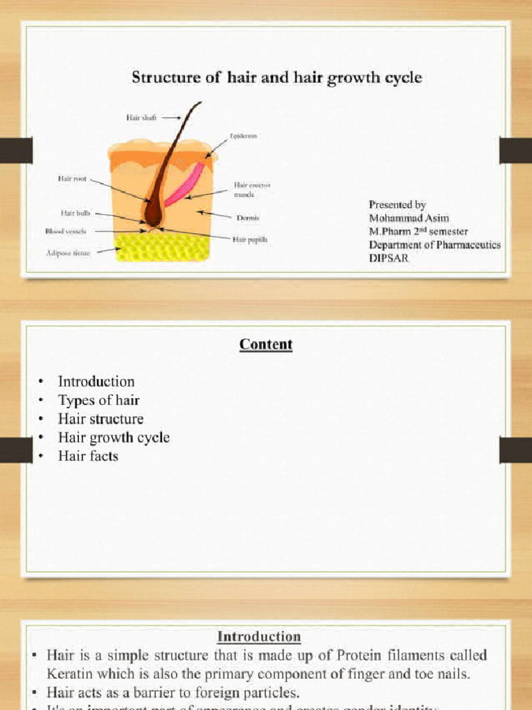 hair-structure-and-hair-growth-cycle-229329356 | PDF