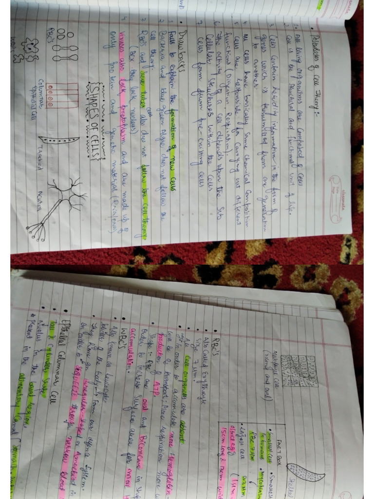 Cell The Unit of Life | PDF