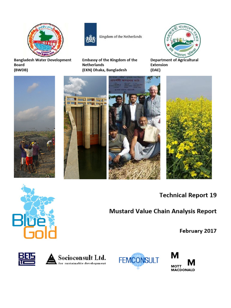 TR19 Mustard Value Chain Analysis 22feb 17 | PDF | Agriculture | Fertilizer